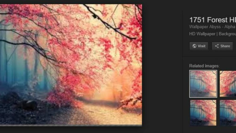 Google Images: Search Engine Removes the View Image Button, Here's Why ...