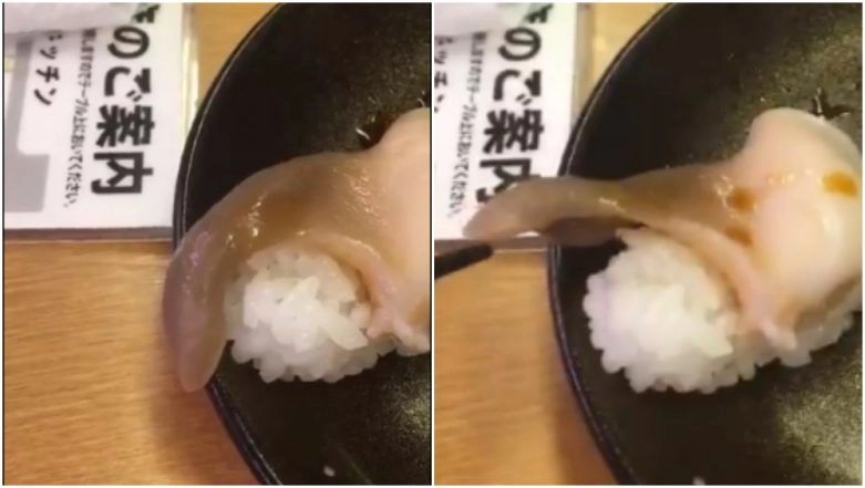 Moving Sushi Video from Japanese Restaurant Will Freak You Out! | 👍 ...