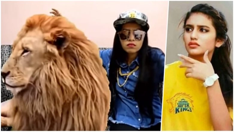 Dhinchak Pooja's Viral Song for Chennai Super Kings Will Make You ...