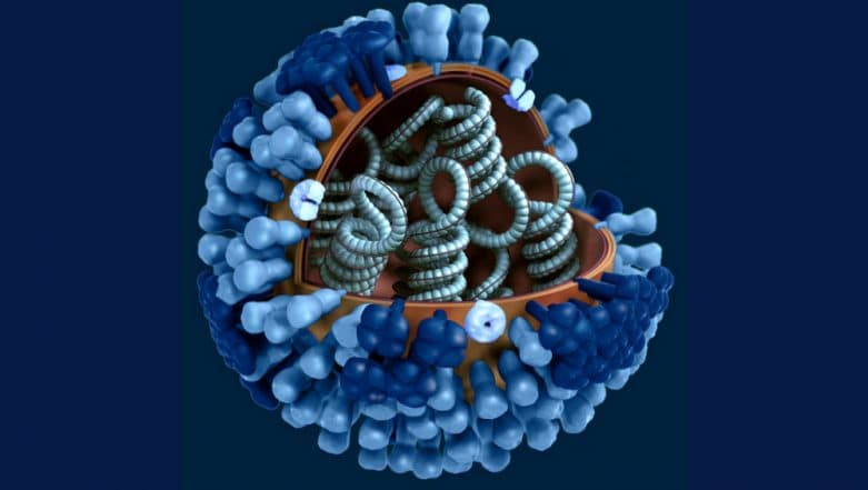 Nipah Virus: Major Hospitals in Maharashtra Set Up Isolation Wards as A ... Nipah Virus: Major Hospitals in Maharashtra Set Up Isolation Wards as A ...