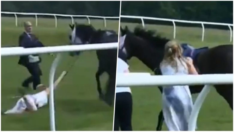 TV Presenter Hayley Moore Tackles Loose Racehorse at the Chepstow ...