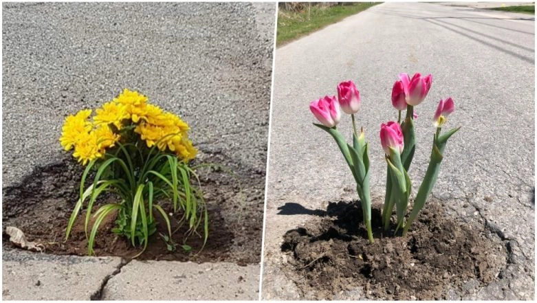 Flower-filled Potholes! Silent Protest Against the Bad Roads of ...