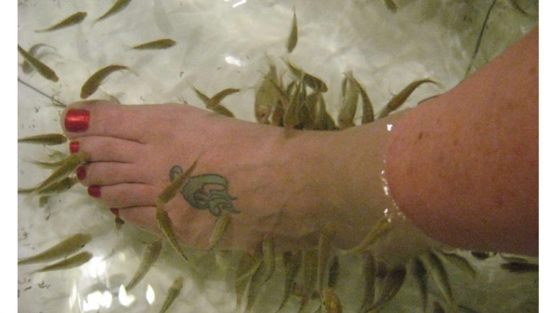 Fish Pedicure Causes a Woman to Lose Her Toenail; Is This Cosmetic ...