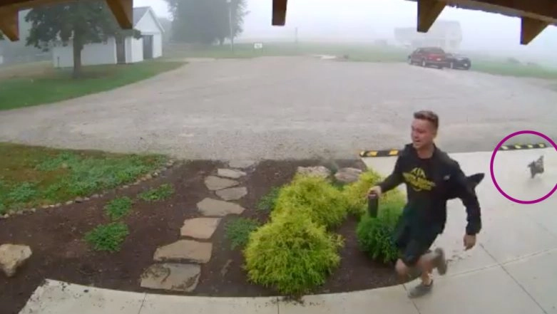 Guy Gets Chased By Chicken At Work At Indiana University, Watch ...