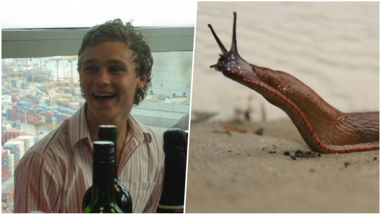 Australian Man Eats a Slug On a Dare From Friends, Dies 8 Years Later ...