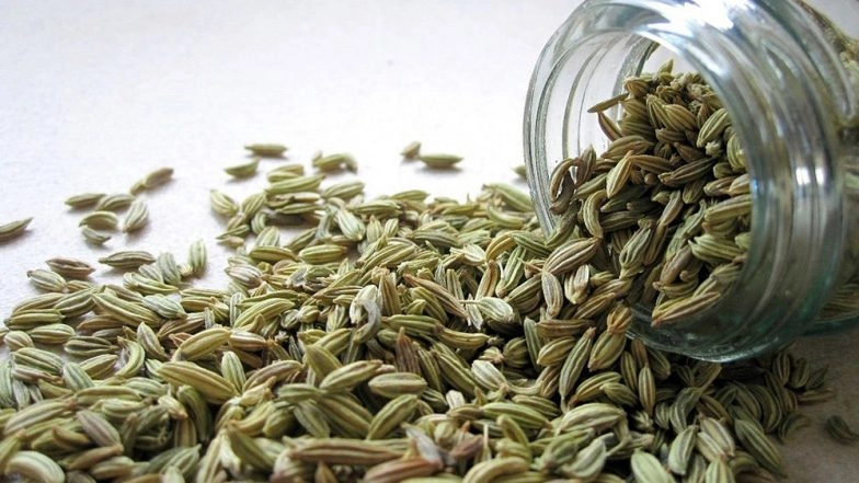 Benefits of Fennel Seeds: 7 Reasons Why You Should Chew on Saunf After ...
