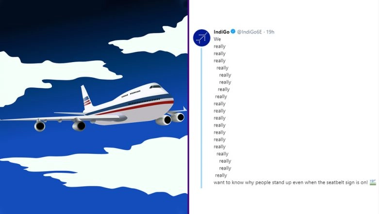 IndiGo Takes A Dig At Passengers Using Really Meme on Twitter, Gets ...