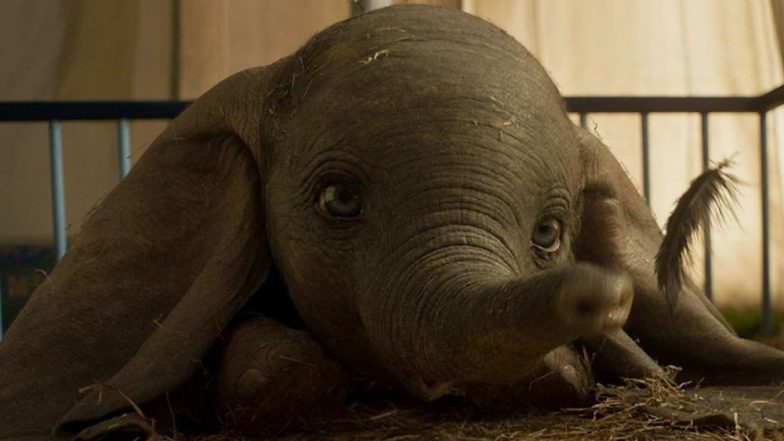 Dumbo Movie Review: Tim Burton's Whimsical Take On Disney's Flying ...