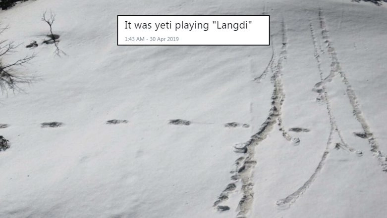 Yeti Footprints' Pictures Turn Into Funny Memes: Twitterati Have a ...