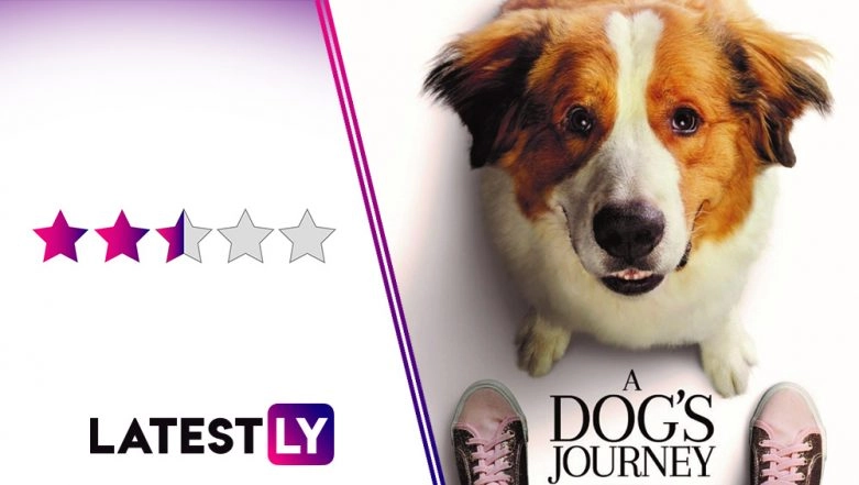 A Dog’s Journey Movie Review: A Sappy, Melodramatic Yarn for Dog Lovers ...