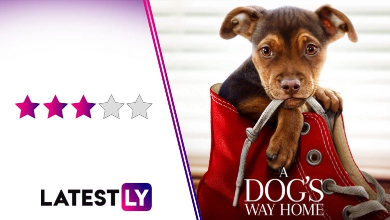 A Dog’s Way Home Movie Review: A Predictable but Moving Treat for All ...