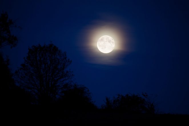 Blue Moon 2019: Flower Moon Graces Night Sky; Know All About the Rare ...