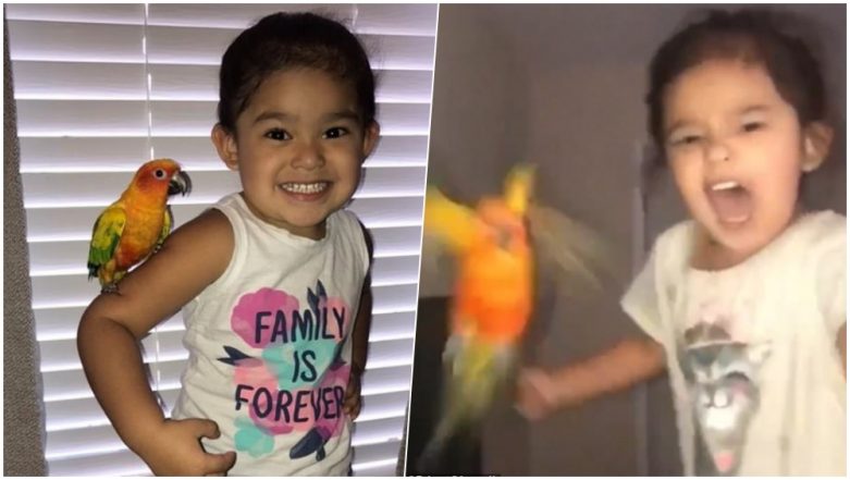 Real-Life Daenerys Targaryen? Little Girl Trains Her Parrot to Attack ...