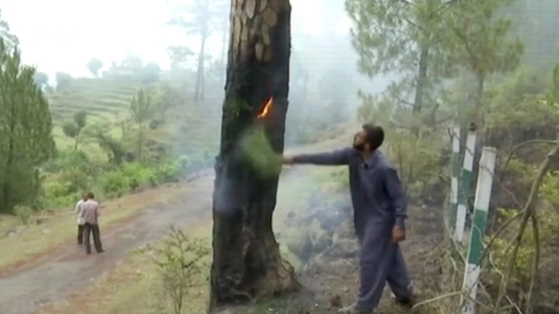 Jammu & Kashmir: Massive Fire Breaks Out in Doongi and Keri Forest | 📹 ...