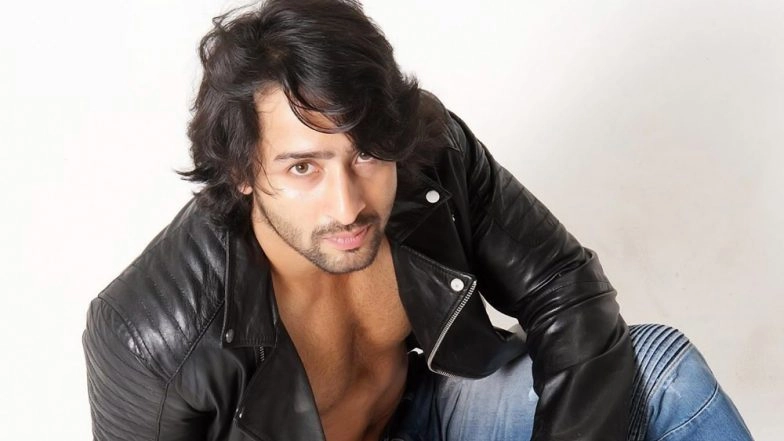 Shaheer Sheikh Opens Up On Doing Bollywood Films, Says All He Wants is ...