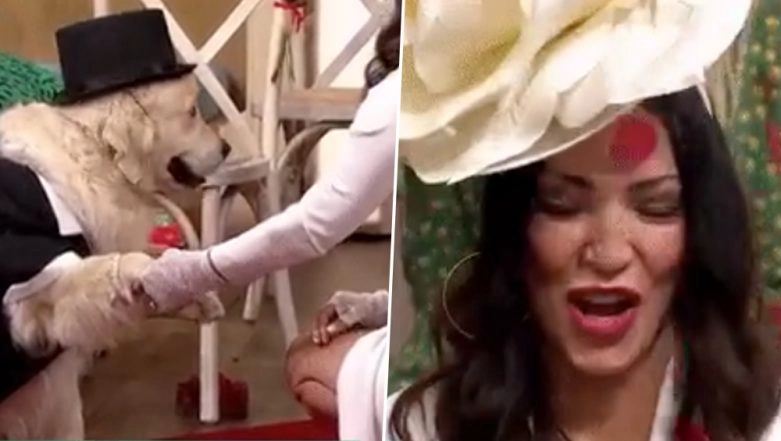 Viral News | Model Marries Her Dog on Live TV | 👍 LatestLY