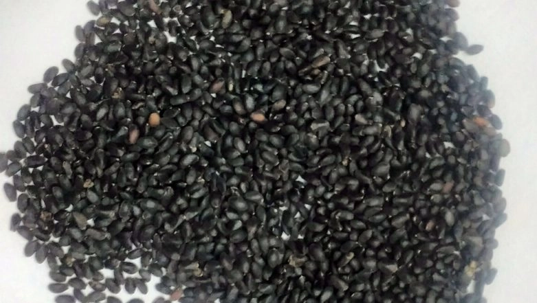 Weight Loss Tip of the Week: How to Use Basil Seeds (Sabja) to Lose ...