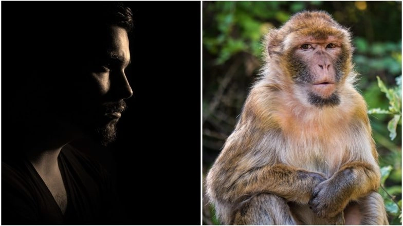 World's First Human-Monkey Hybrid or 'Chimera' Created in China by ...