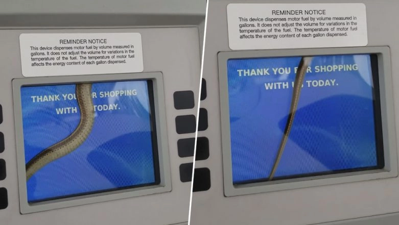 Kansas Woman Finds Snake Crawling on Gas Pump Machine's Touch Screen ...