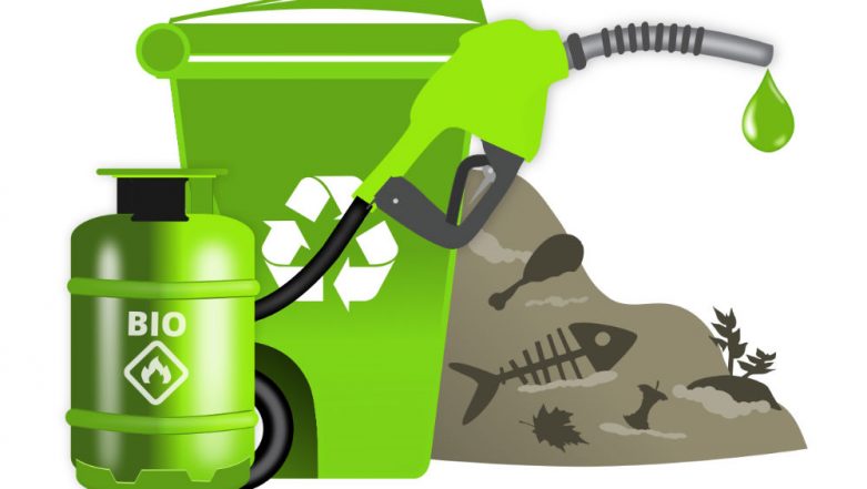 World Biofuel Day 2019 Date: History, Theme & Significance of ...