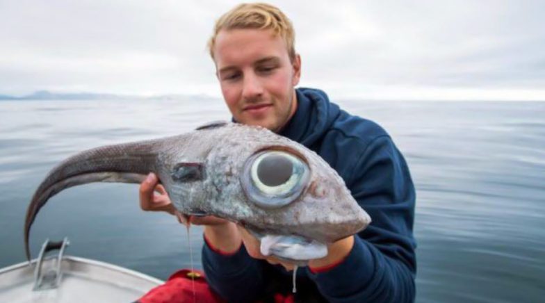 Alien-Like Fish Caught off Norwegian Island! Fisherman Finds Rare Catch ...