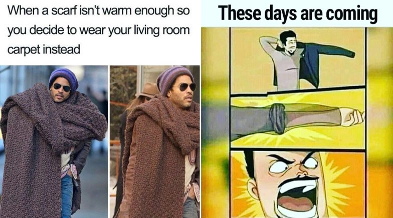 Winter Memes and Jokes: From ‘No Bathing’ to ‘Winter Fashion’ LOL to ...