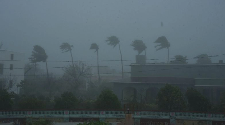 Cyclone Burevi Updates: Cyclone Burevi Likely To Hit Tamil Nadu Today ...