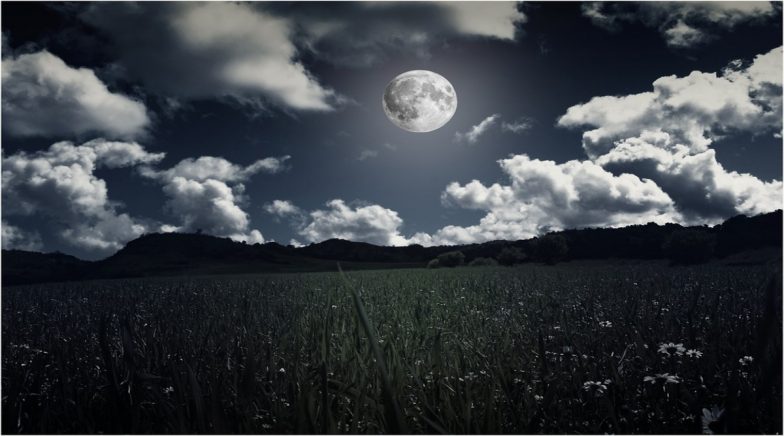 Full Beaver Moon 2019 Date: Know Everything About November's Full Moon ...