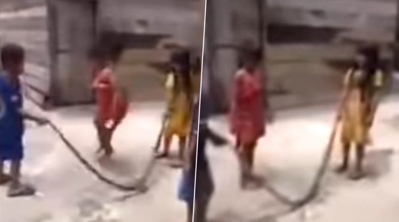 Vietnamese Children Joyfully Play Using a Long Dead Snake As Skipping ...