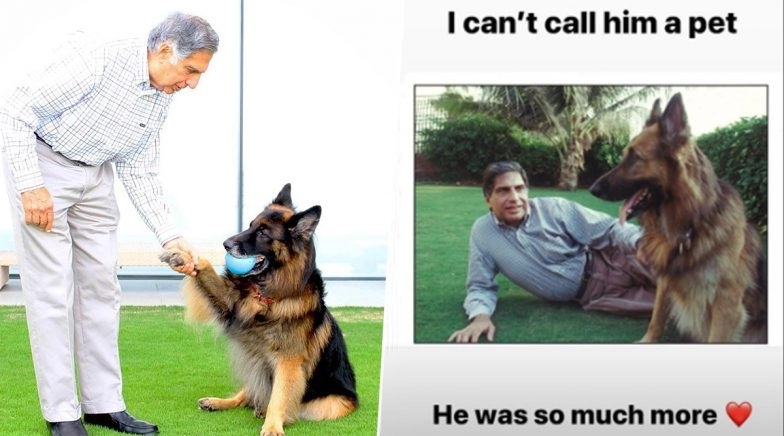 Ratan Tata Remembers His Late Dog Tito On Its 14th Birthday; Praises ...