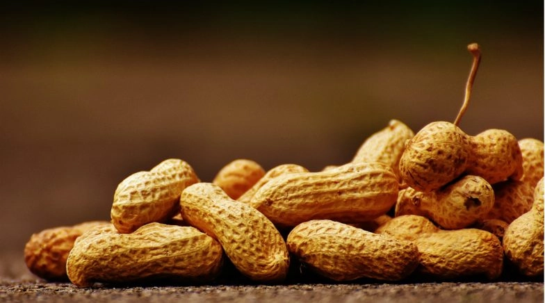 Moongphali Is A Favourite Winter Time-Pass Snack! Here's Why You Should ...