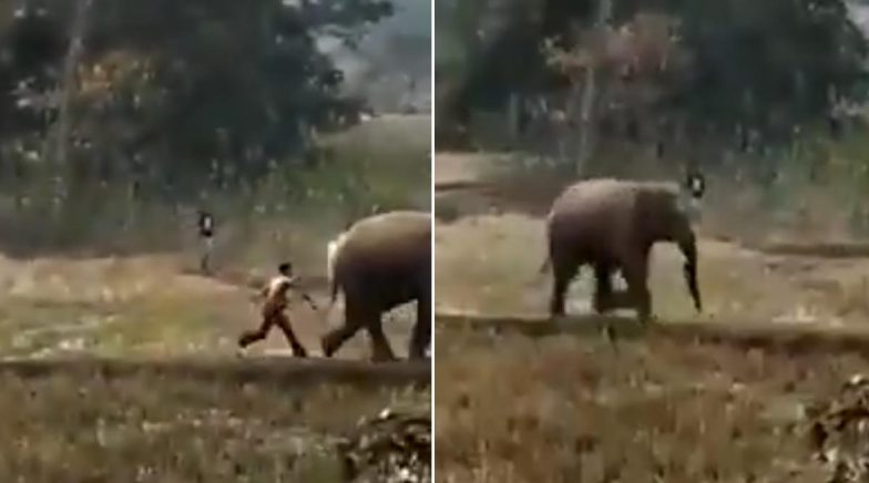 Man Hits Innocent Elephant and Runs Away! Video of Ruthless Human ...