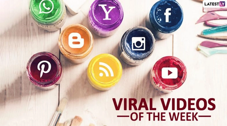 Viral Videos of the Week: From Elon Musk’s ‘NSFW’ Dance to Unattended ...