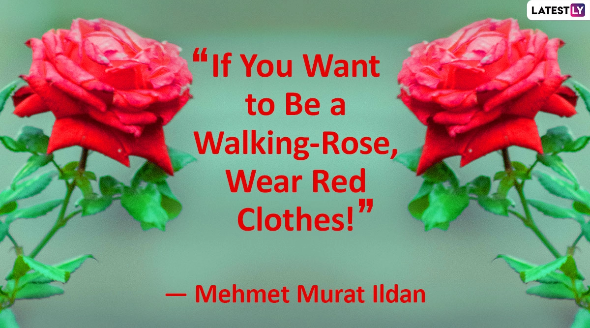 Rose Day 2020 Images With Romantic Quotes: Sweet Sayings on Roses ...