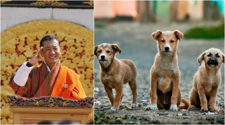 Bhutan PM Urges Citizens to Adopt Stray Dogs And Plant Trees as ...