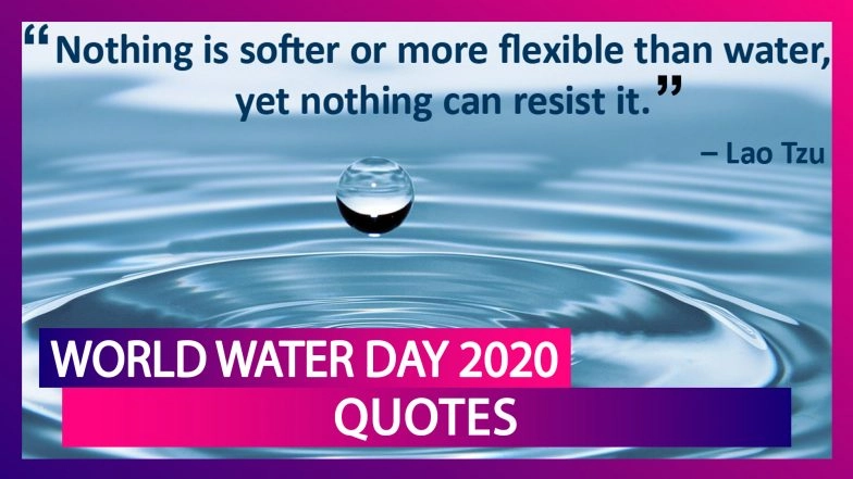 World Water Day 2020 Quotes & Slogans To Honour The Flow Of Life | 📹 ...