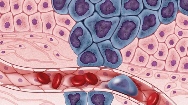 Research Focuses on Tiny Particles That Can Trick the Body to Accept ...