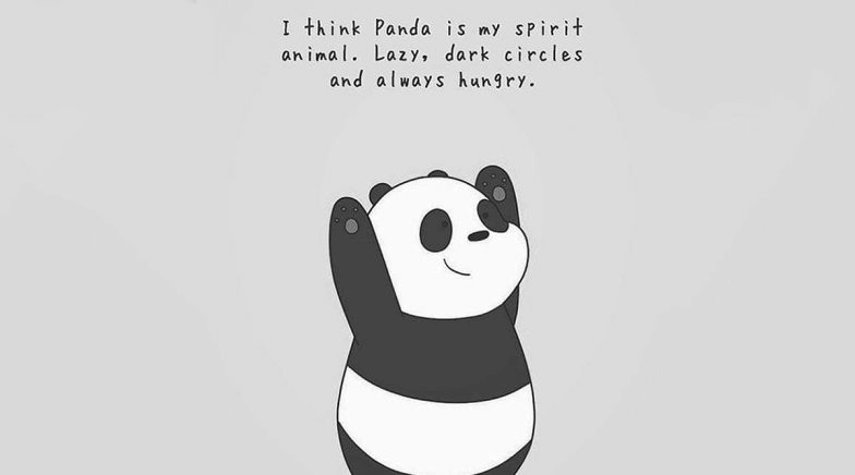Panda Hug Meme