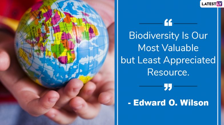 International Day for Biological Diversity 2020 Quotes and HD Images ...
