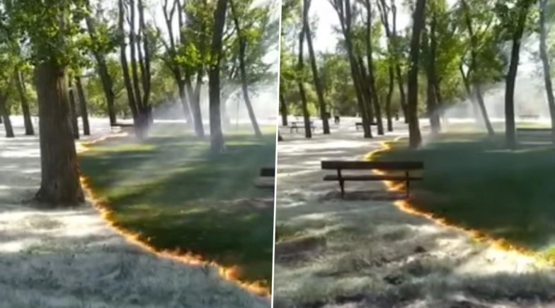 Video of Fire Sweeping Through Park in Spain Without Burning Trees ...