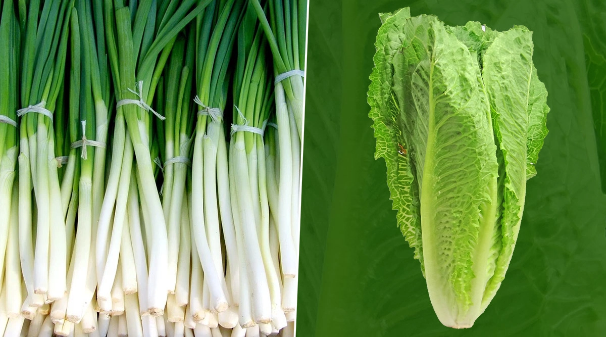 How to Grow Vegetables From Leftovers? From Green Onions to Lettuce, 5 ...