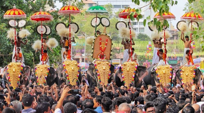 Thrissur Pooram Photos: As The Temple Festival in Kerala Gets Cancelled ...