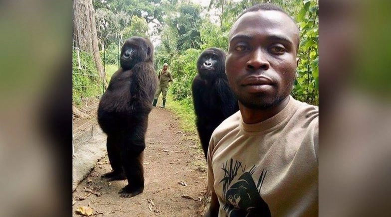 National Selfie Day 2020: Hilarious and Awkward Selfies That ...
