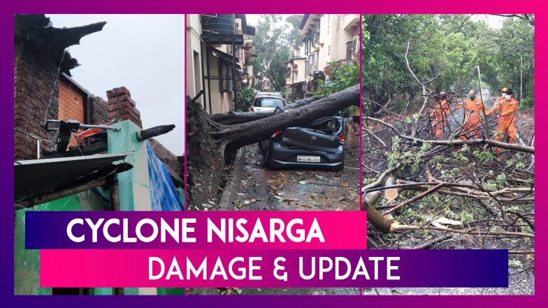 Cyclone Nisarga Claims Four Lives, Snaps Trees, Electric Poles In ...