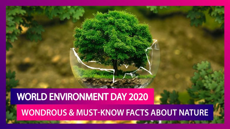 World Environment Day 2020: Weird Yet Wondrous Facts About Nature | 📹 ...