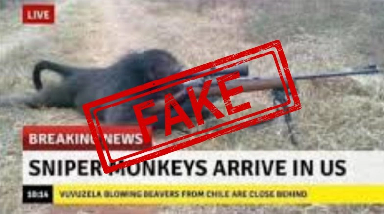 Sniper Monkeys Arrive in The US? Fact Check Behind Viral Picture of Baboon Sniper or Monkey With ...