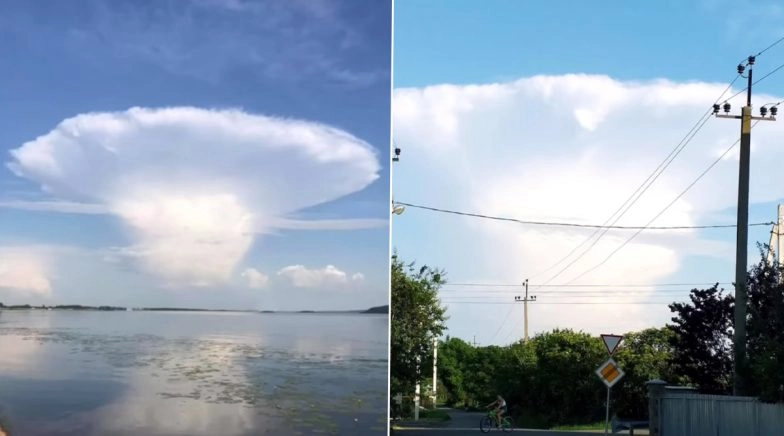 Giant Mushroom-Shaped Cloud Near Chernobyl Sparks Fears From UFO ...