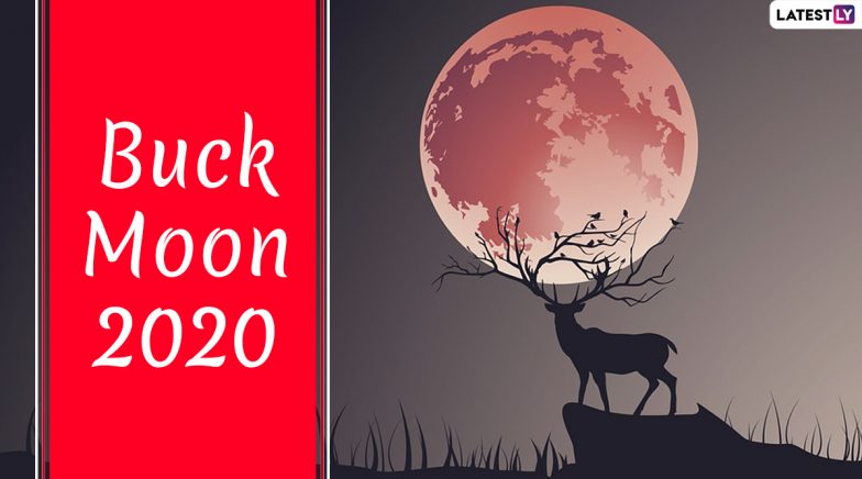 Buck Moon 2020 Date and Time: Know Everything About the Full Moon of ...