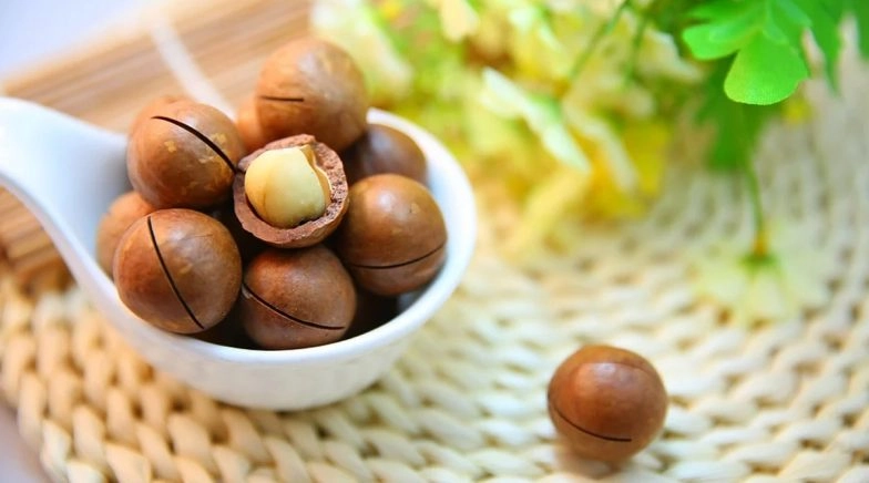 Macadamia Nuts Health Benefits: From Weight Loss to Improving Gut ...