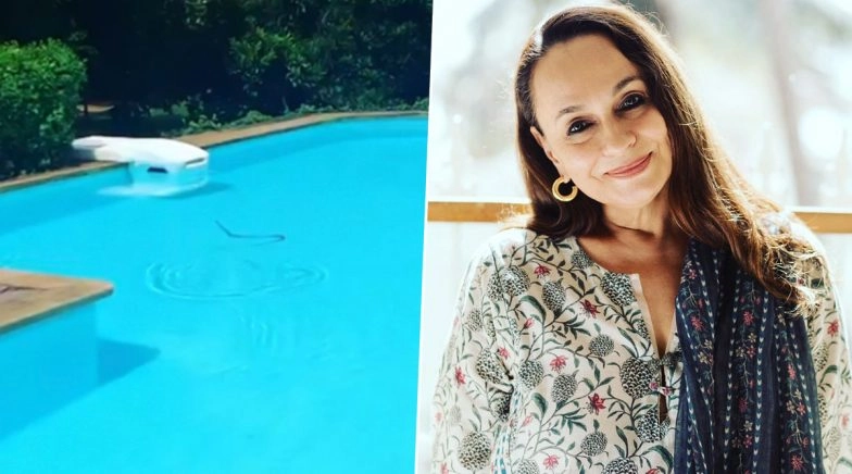 Alia Bhatt’s Mom Soni Razdan Finds a Snake in Her Swimming Pool (Watch ...